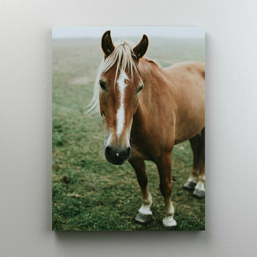 Интерьерная картина на холсте "Домашняя лошадь" размер 45x60 см