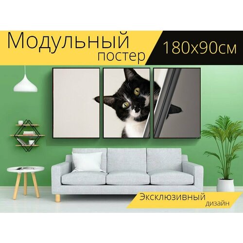 Модульный постер "Кот, черный белый, кот над предметом мебели" 180 x 90 см. для интерьера