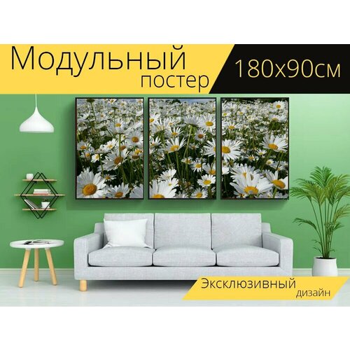 Модульный постер "Ромашки, поле, луг" 180 x 90 см. для интерьера