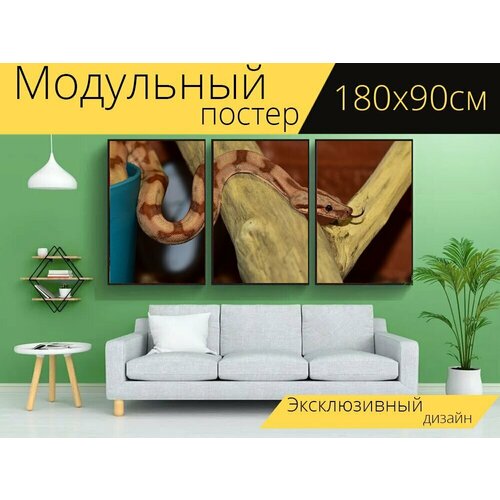 Модульный постер "Линия, удав император, жёлтый" 180 x 90 см. для интерьера