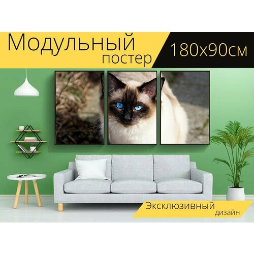 Модульный постер "Кот, сиамский, шерсть" 180 x 90 см. для интерьера