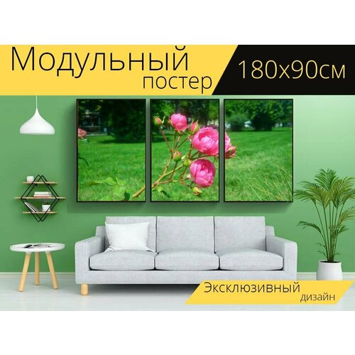 Модульный постер "Природа пейзаж, роза, шиповник" 180 x 90 см. для интерьера