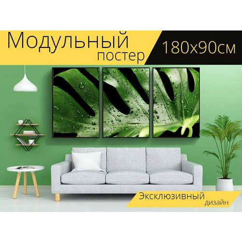 Модульный постер "Зеленый, мокрый, монстера" 180 x 90 см. для интерьера