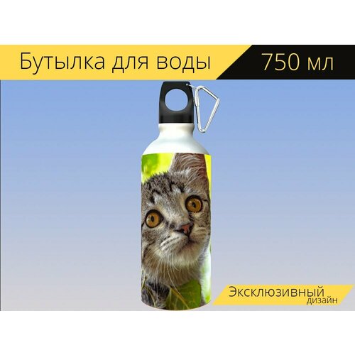 Бутылка фляга для воды "Кошка, котенок, полосатый кот" 750 мл. с карабином и принтом