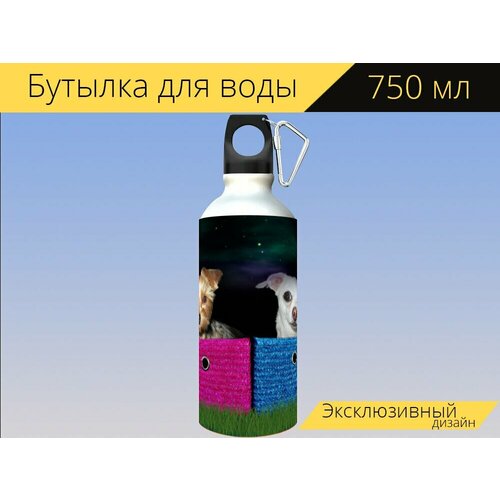 Бутылка фляга для воды "Собаки, йоркширский терьер, чихуахуа" 750 мл. с карабином и принтом
