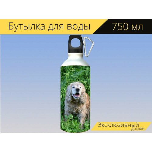 Бутылка фляга для воды "Собака, зеленая трава, кокерспаниель" 750 мл. с карабином и принтом