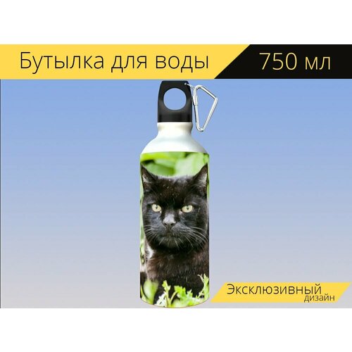 Бутылка фляга для воды "Кошка, чернить, черный кот" 750 мл. с карабином и принтом
