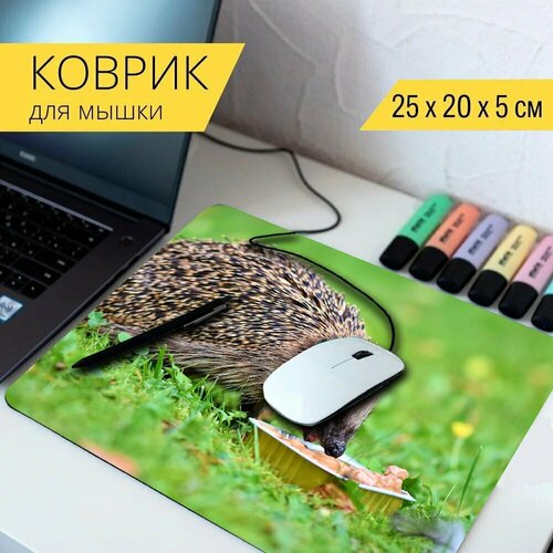 Коврик для мыши с принтом "Ежик, шпора, ханна" 25x20см.