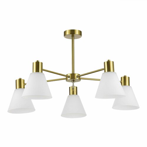 Потолочная люстра Evoluce ARKI SLE1561-302-05