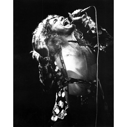 Плакат, постер на бумаге Led Zeppelin-Robert plant/Лед Зеппелин-Роберт Плант. Размер 42 х 60 см
