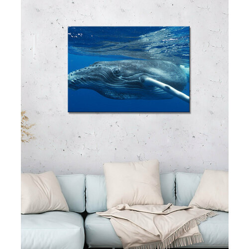 Картина - кит, синий кит, кит в океане, огромный кит, кит в воде (27) 20х30
