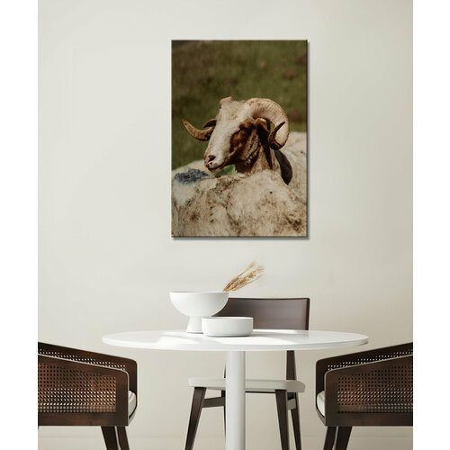 Картина -Козел, коза, дикий козел, рогатый козел, горный козел (11) 50х70