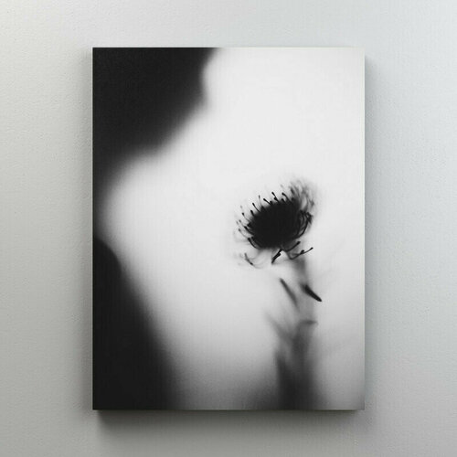 Интерьерная картина на холсте "Черно-белая тень девушки и цветка" размер 22x30 см
