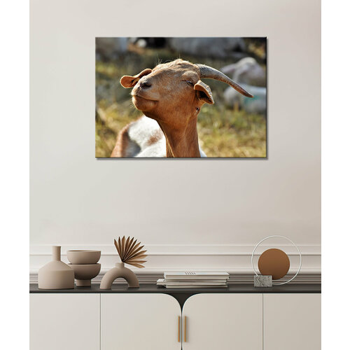 Картина - Коза, козел, коричневый козел, коричневая коза (12) 20х30