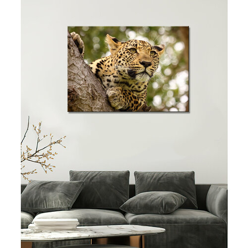 Картина/Ягур/Ягуар в джунглях/Ягуар на дереве/Черный ягуар/ - Ягуар (44) 60х80