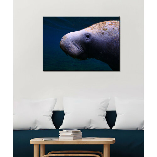 Картина -Ламантин, морская корова, ламантин в воде (8) 30х40