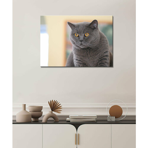 Картина - кошка, британская короткошёрстная кошка, домашняя кошка, ласковая кошка, кот (216) 60х80