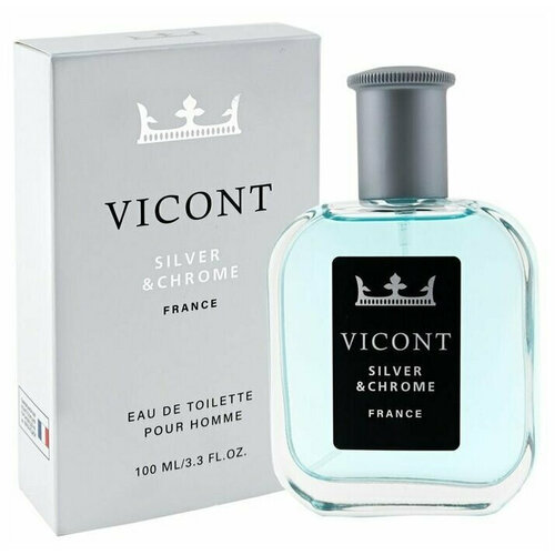 Мужская туалетная вода Delta Parfum Vicont Silver&Chrome, 100 мл