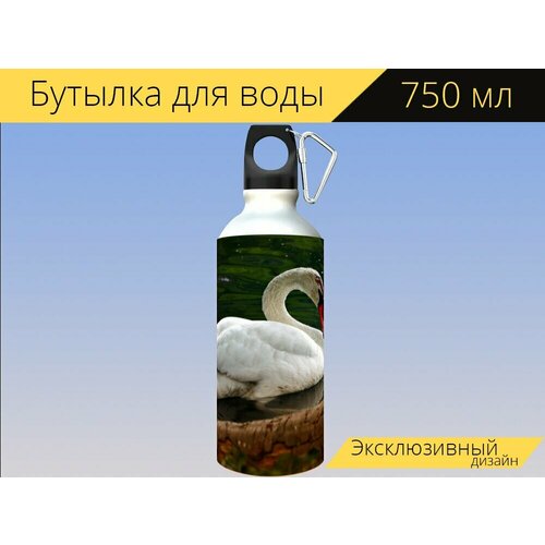 Бутылка фляга для воды "Лебедь, озеро, птица" 750 мл. с карабином и принтом