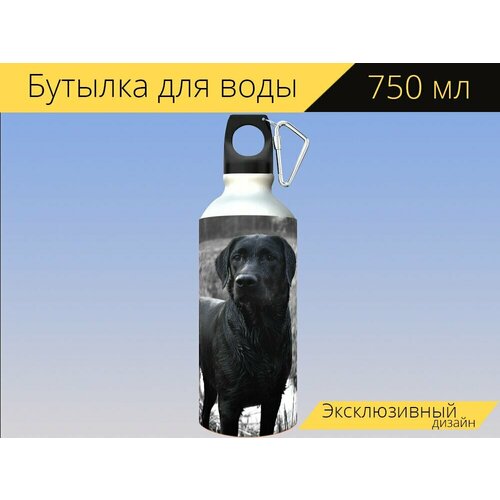 Бутылка фляга для воды "Лабрадор, собака, черное и белое" 750 мл. с карабином и принтом