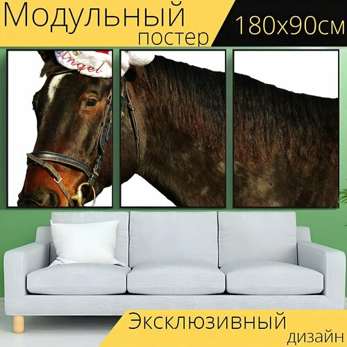 Модульный постер "Лошадь, смех, гринь" 180 x 90 см. для интерьера