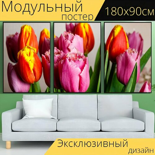 Модульный постер "Тюльпаны, цветы, букет" 180 x 90 см. для интерьера