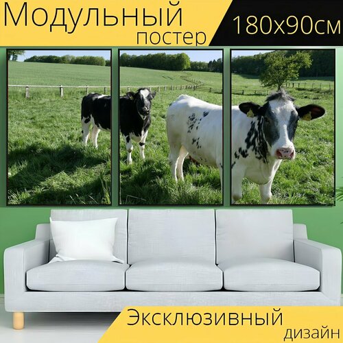 Модульный постер "Корова, луг, крупный рогатый скот" 180 x 90 см. для интерьера