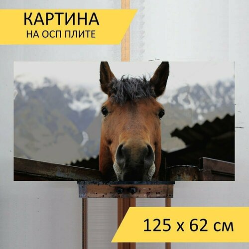 Картина на ОСП 125х62 см. "Лошадь, животное, грива" горизонтальная, для интерьера, с креплениями