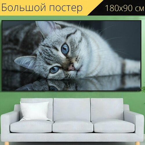 Большой постер "Кошка, кошачий, котенок" 180 x 90 см. для интерьера