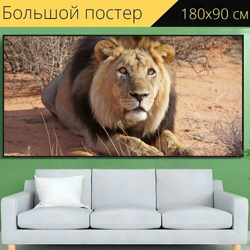 Большой постер "Лев, животное, сафари" 180 x 90 см. для интерьера