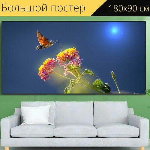 Большой постер "Колибри бражник, насекомое, цветы" 180 x 90 см. для интерьера