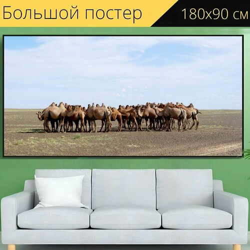 Большой постер "Монголия, верблюды, пустыня" 180 x 90 см. для интерьера