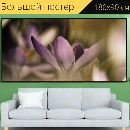 Большой постер "Цветок, весна, весенний цветок" 180 x 90 см. для интерьера