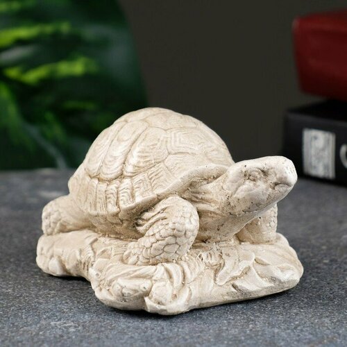 Фигура "Черепаха на камне" слоновая кость, 8х7х6см (комплект из 8 шт)