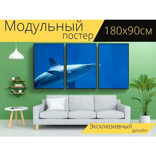 Модульный постер "Акула, хищник, рыбы" 180 x 90 см. для интерьера
