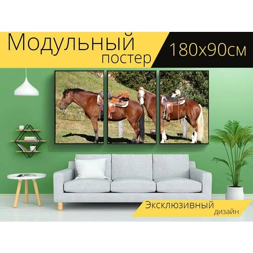 Модульный постер "Лошади, катание на лошадях, седло" 180 x 90 см. для интерьера