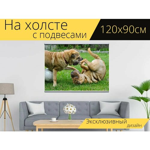 Картина на холсте "Собака, шарпей, играть" с подвесами 120х90 см. для интерьера