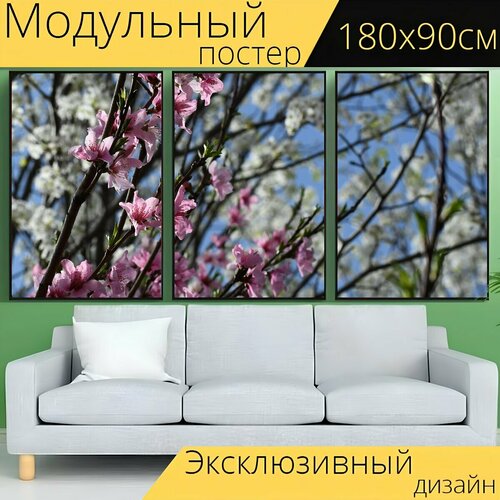 Модульный постер "Весна, блум, персик" 180 x 90 см. для интерьера