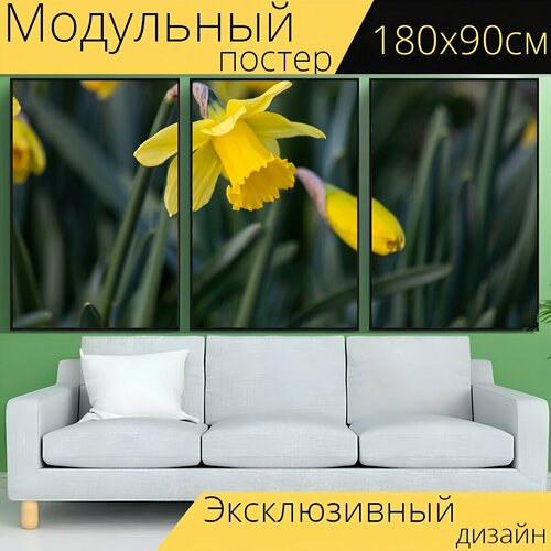 Модульный постер "Нарцисс, пасхальный колокол, декоративное растение" 180 x 90 см. для интерьера