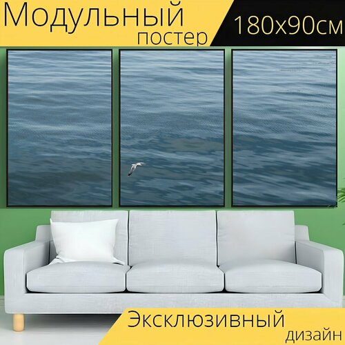 Модульный постер "Море, чайка, природа" 180 x 90 см. для интерьера