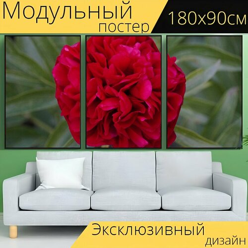 Модульный постер "Роза, цветок, красный" 180 x 90 см. для интерьера