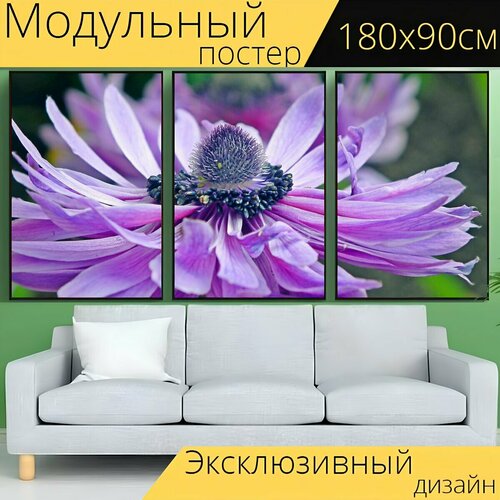Модульный постер "Анемон, цветок, фиолетовый" 180 x 90 см. для интерьера