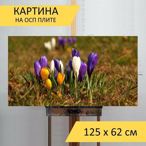 Картина на ОСП 125х62 см. "Крокус, цветок, весна" горизонтальная, для интерьера, с креплениями