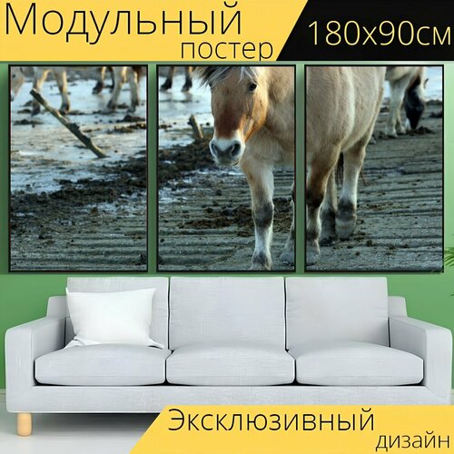 Модульный постер "Лошадь, животное, ферма" 180 x 90 см. для интерьера