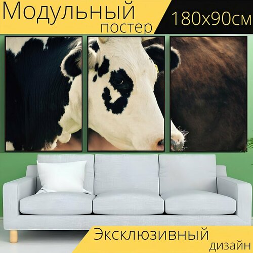 Модульный постер "Животные, корова, коровы" 180 x 90 см. для интерьера
