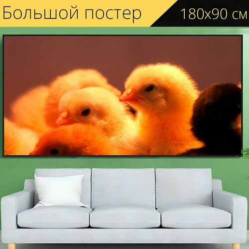 Большой постер "Пасхальный, пасхальный цыпленок, цыпленок" 180 x 90 см. для интерьера