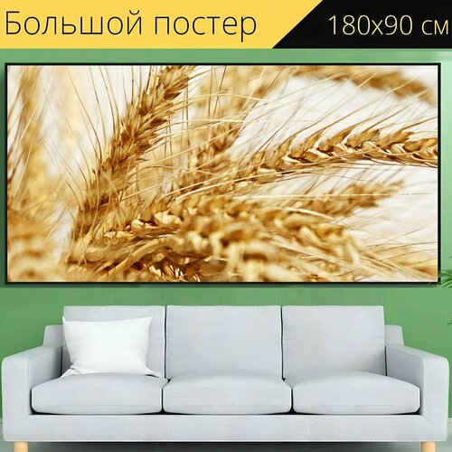 Большой постер "Дева, желтый, пшеница" 180 x 90 см. для интерьера