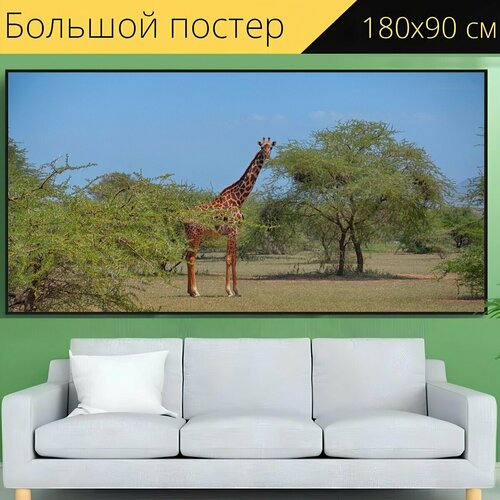 Большой постер "Жирафа, танзания, сафари" 180 x 90 см. для интерьера
