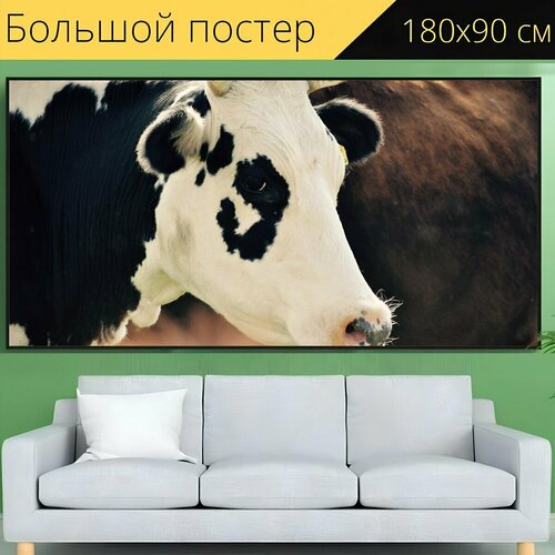 Большой постер "Животные, корова, коровы" 180 x 90 см. для интерьера
