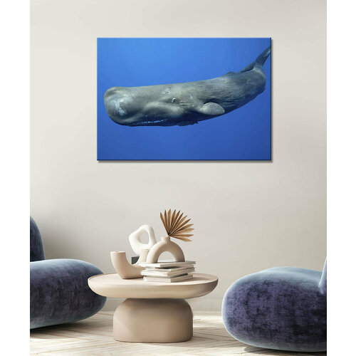 Картина - кит, синий кит, кит в океане, огромный кит, кит в воде (29) 60х80